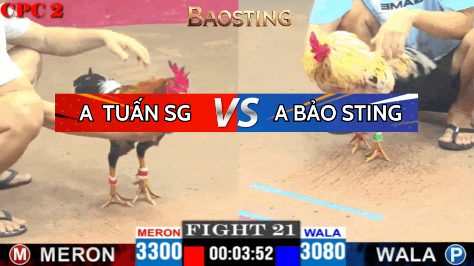 ANH TƯ MÃ Ý VS ANH BẢO STING C2 TRẬN 21 NGÀY 04/05/2025 - BAOSTING